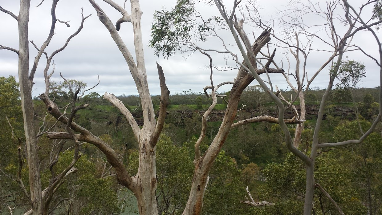 Budj Bim National Park (Map, Images and Tips) | Seeker