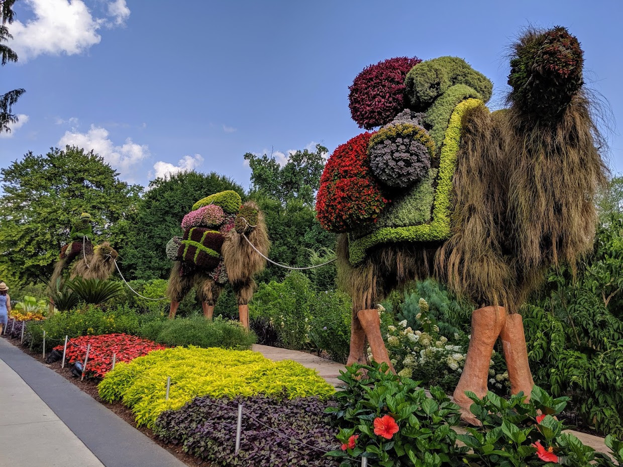 Atlanta Botanical Garden (Map, Images and Tips) | Seeker