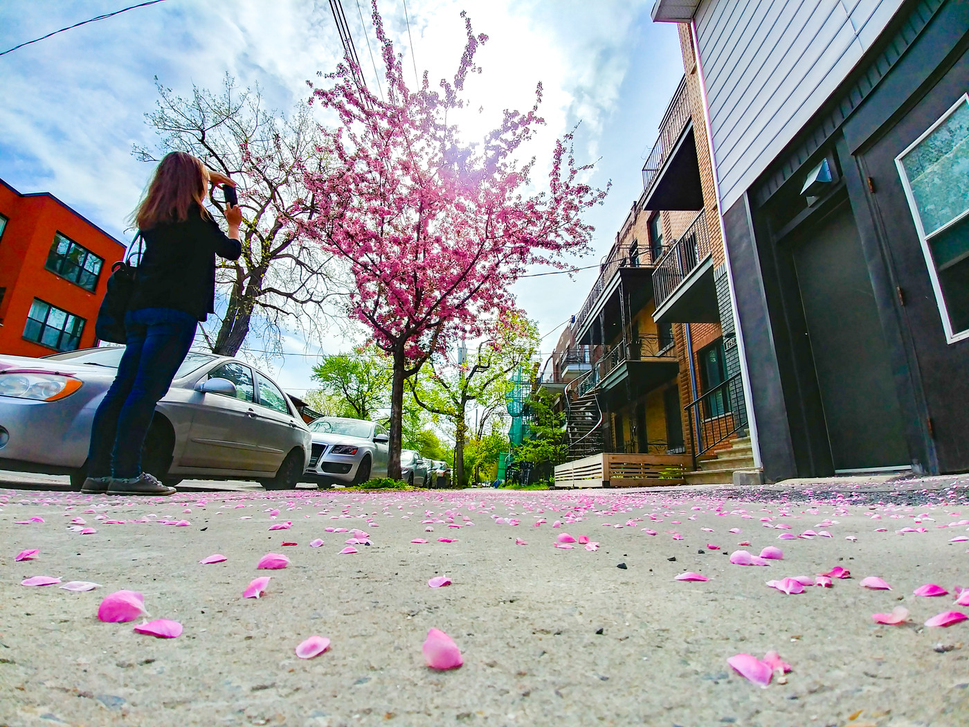 Villeray (Map, Images and Things to do) | Seeker