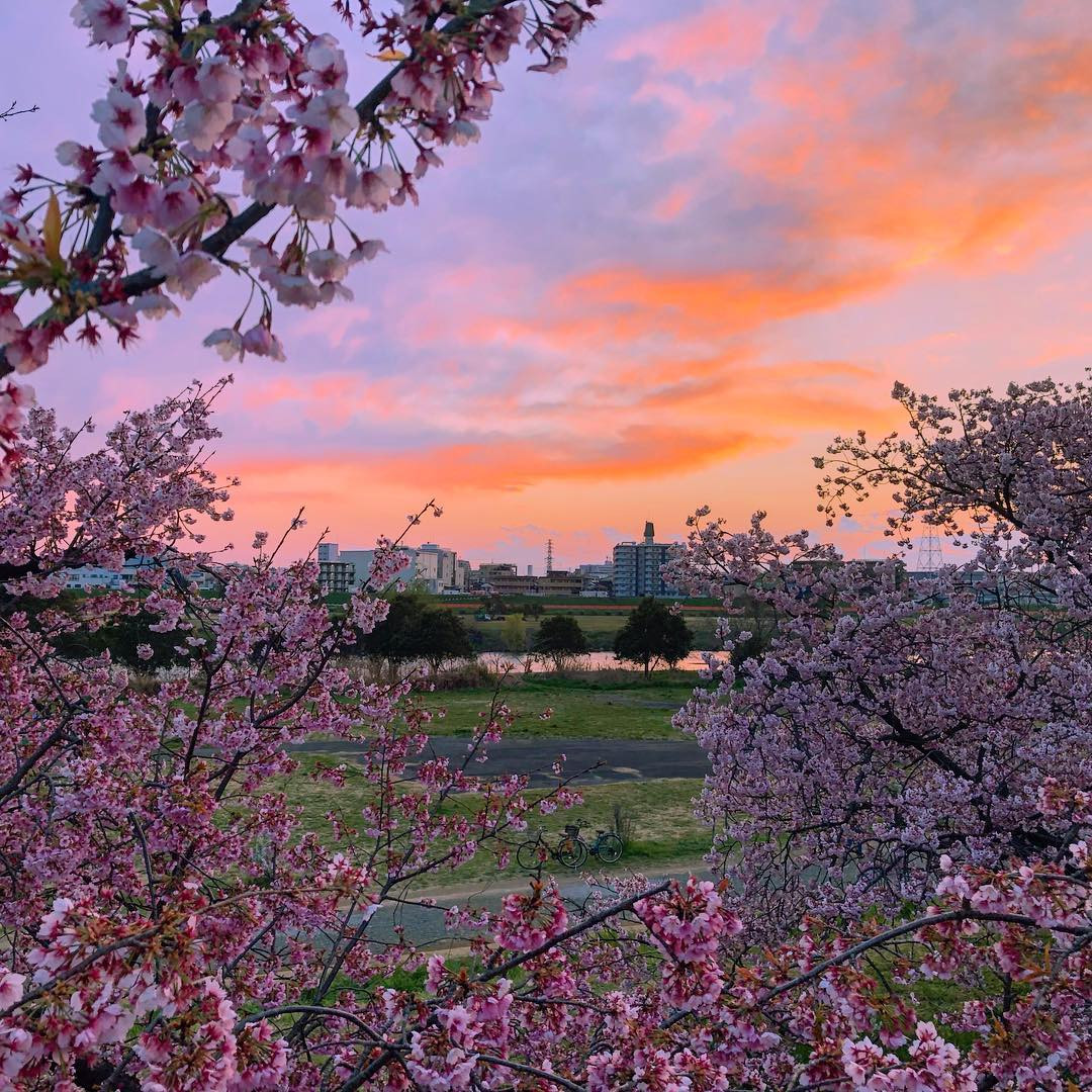 Tama River (Map, Images and Tips) | Seeker