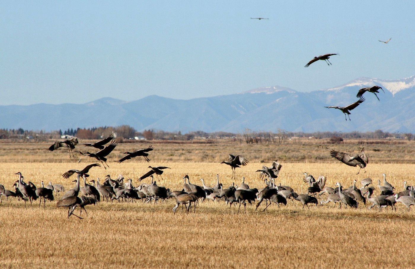 Alamosa National Wildlife Refuge and Visitor Center (Map, Images and ...