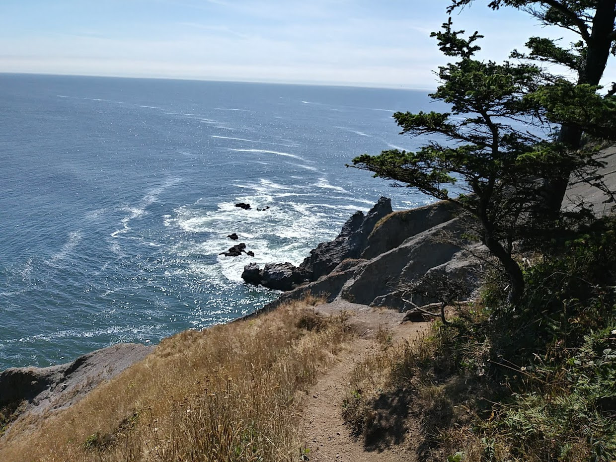 Cape Falcon Trailhead (Map, Images and Tips) | Seeker