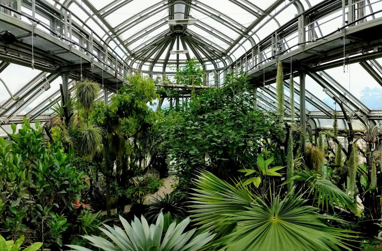 Botanical Garden and Botanical Museum (Map, Images and Tips) | Seeker