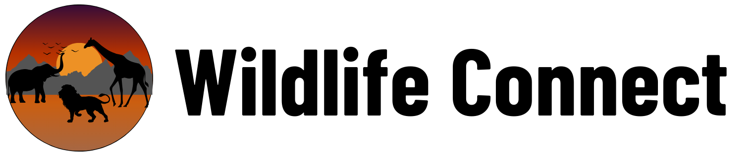 Discover Wildlife Sanctuaries | Wildlife Connect